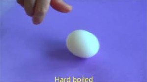 Kids Science Experiments - Using eggs | Gemperle Family Farms